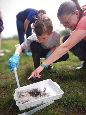 GCSE Natural History - Sherbourne Valley Project