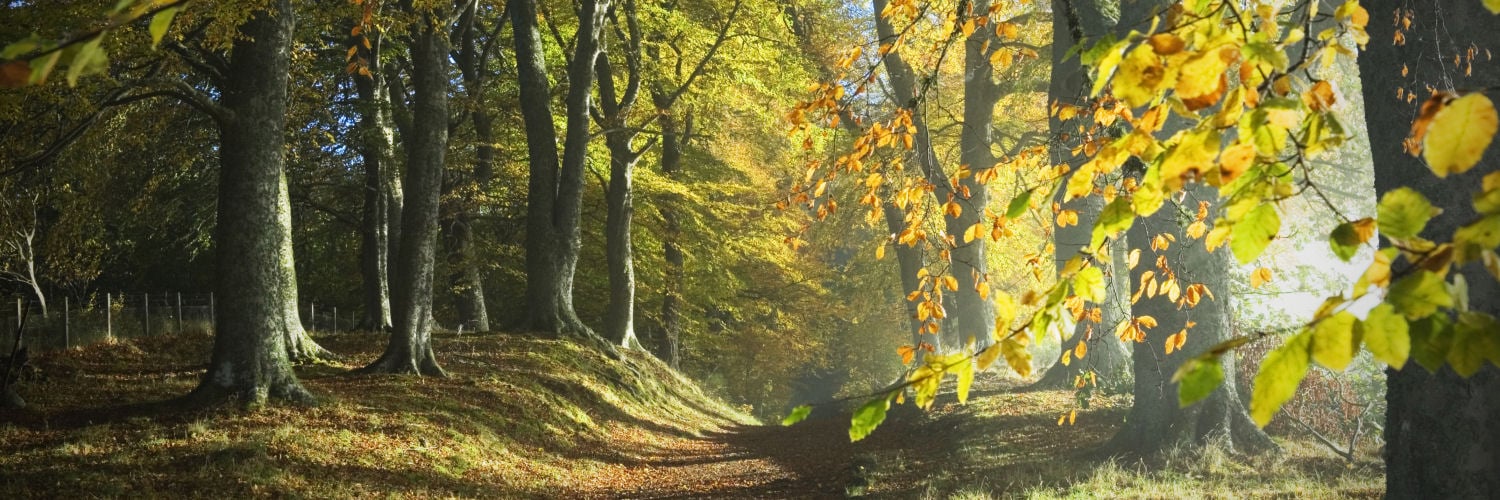 GCSE Natural History - What is Natural History?