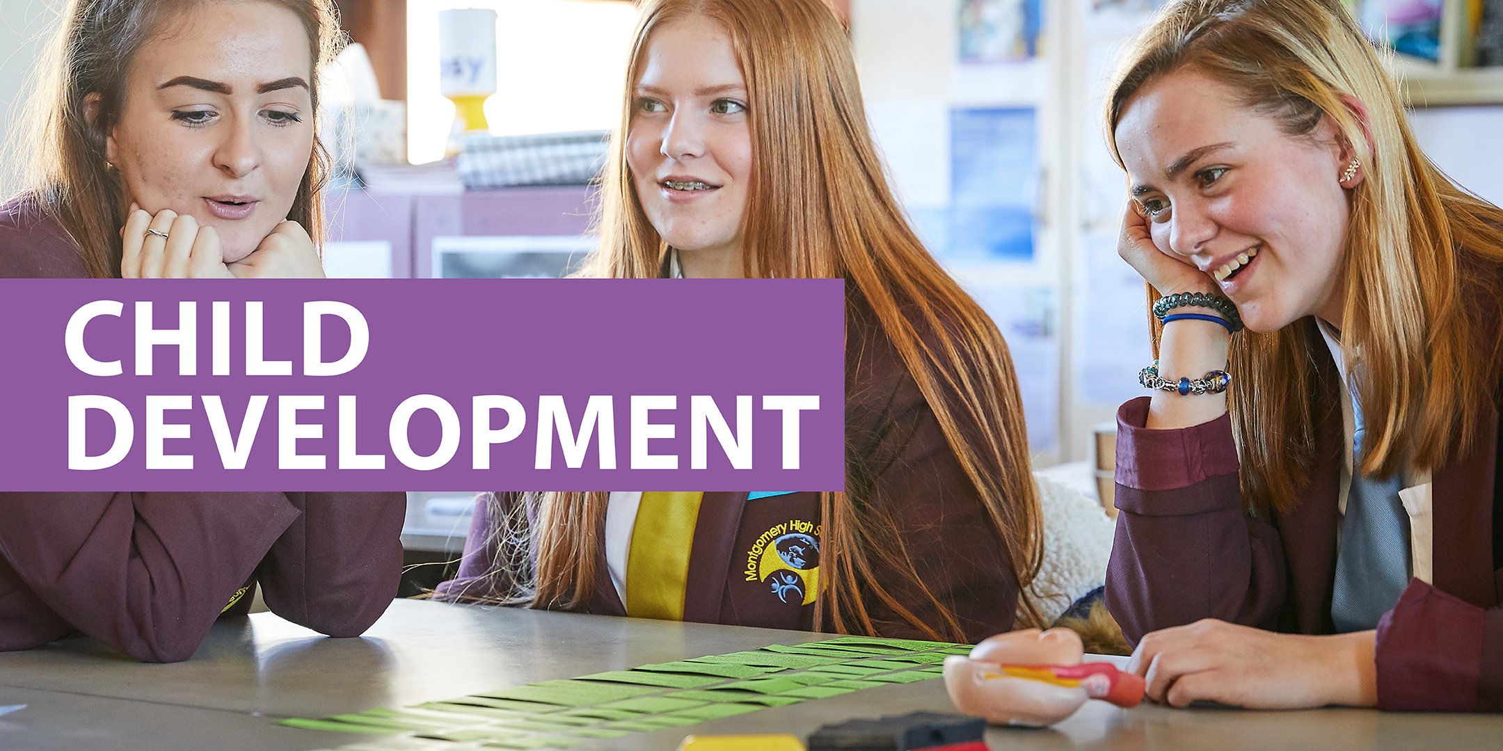 Teacher Network Resources